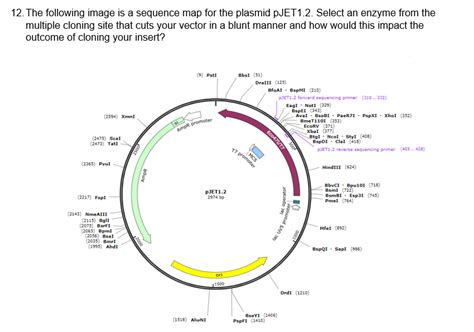 Solved The Following Image Is A Sequence Map For The Chegg Com