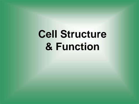 SOLUTION Cell Structure Function Studypool
