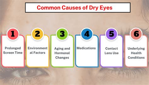 Common Causes Of Dry Eyes And How To Prevent Them Laxmi Eye Hospital