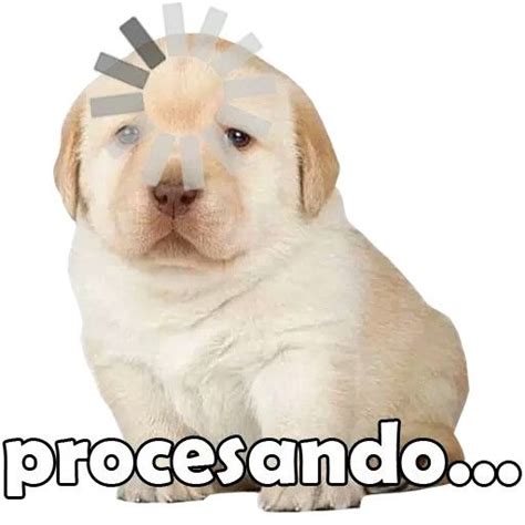 Stickers De Memes Graciosos At Milla Neil Blog