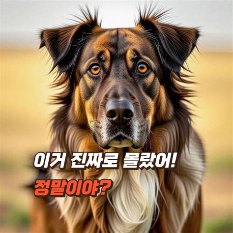 여성 난소암 초기 증상과 놓치지 말아야 할 신호들 진단과 치료 및 최신 정보와 생존율 향상 방법