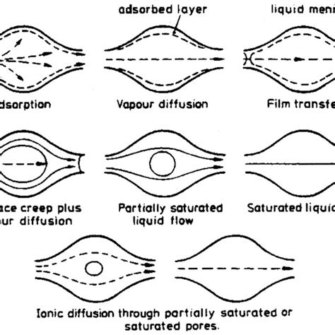 Pdf Pore Structure Permeability And Penetration Resistance