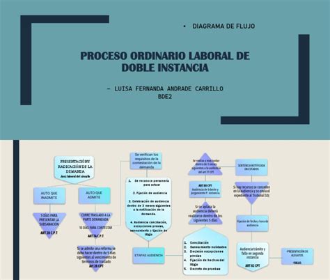 Diagrama De Fujo Clinica Laboral Pdf Judicaturas