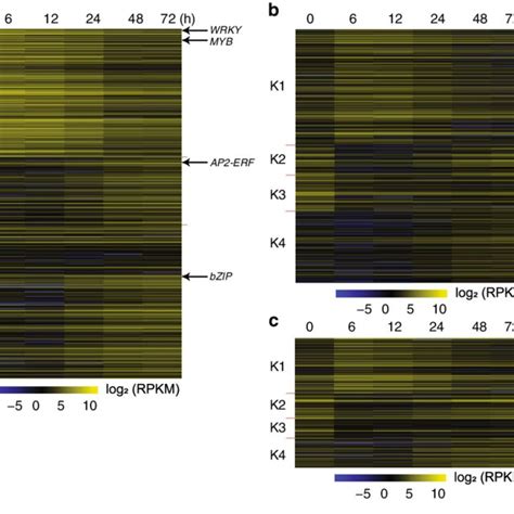 Qrt Pcr Verification Of Six Selected Degs Comparison Of Rna Seq Data Download Scientific