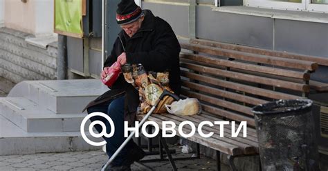 В каждом городе Крыма начнутся рейды для помощи бездомным Новости Mail