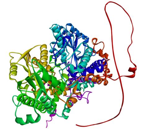 Md Simulation Molecular Docking Bioinformatic Data Analysis By