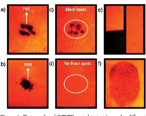 Femtogram Semantic Scholar Femtogram Semantic Scholar