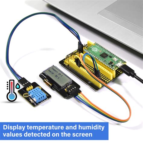 Kit éducatif Complet Raspberry Pi Pico Robotisâmes