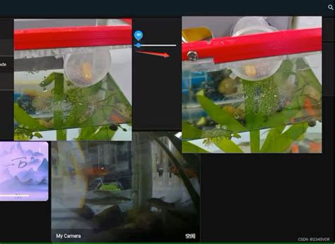 创客项目秀｜基于seeed Xiao Esp32s3 Sense的ha自动化鱼缸 极术社区 连接开发者与智能计算生态