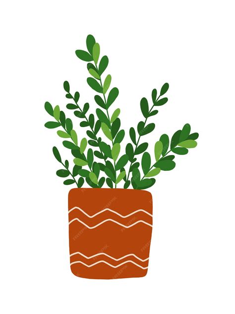 Plants Clipart