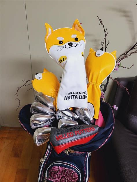 젝시오 여자골프채풀세트 여성젝시오 젝시오여자 바퀴형골프백 헬로마켓