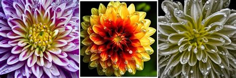 Training Stable Diffusion From Scratch For 50k With Mosaicml Part 2