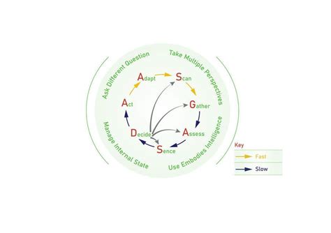 Entry 191 By Shamimahamed7528 For Create Decision Making Frameworks Freelancer