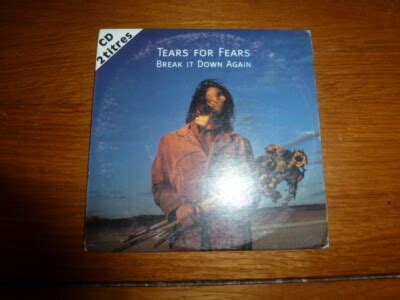Tears For Fears Break It Down Again Cd Single Ebay