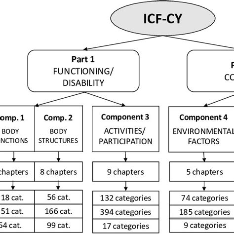 2 The Icf Cy Model Including Constructs Capturing Functioning And