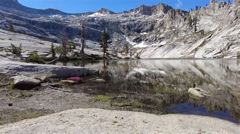 Edge Of Pear Lake In Sequoia Stock Video Video Of Scenery Edge