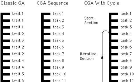 General Chromosome Structure Of Genetic Algorithms And Cyclic Genetic