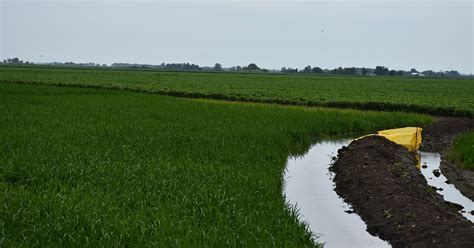 Automated Irrigation System For Rice At Harrison Trethowan Blog