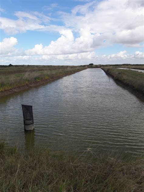 Nos Anciens Eleves Reussissent A Lexemple De Mathieu Gallard Qui Dirige La Ferme Aquacole De