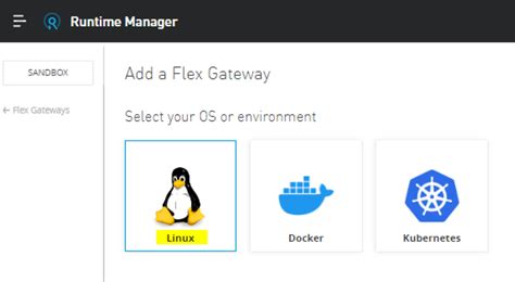 Mulesofts Anypoint Flex Gateway Logs Integration With Grafana Loki