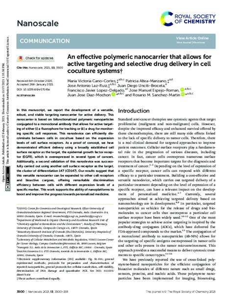 Pdf An Effective Polymeric Nanocarrier That Allows For Active