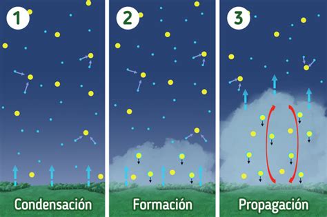Cómo Se Forma La Niebla Ideas En 5 Minutos