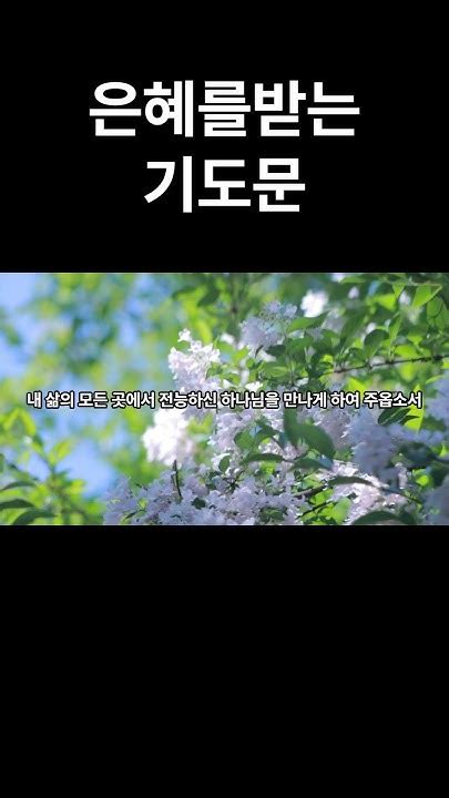 뜨거운 하나님의 은혜를 받는 기도해보세요 매일기도 따라하는기도 분당우리교회 기도잘하는법 간절한 기도가 되는 기도