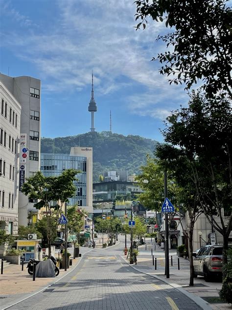 Dev Chori Chori 시리즈 Velog