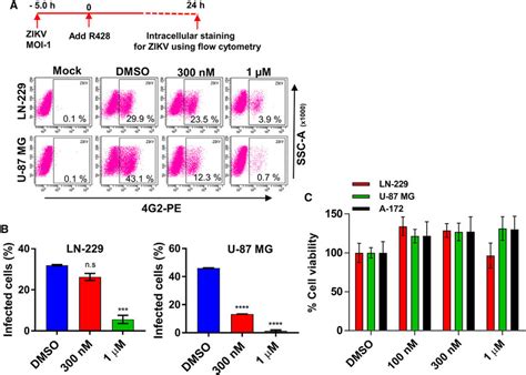 Axl Kinase Activity Is Required For Zikv Replication In Human