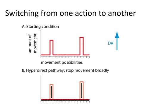 Cortical Vs Subcortical Loopsppt