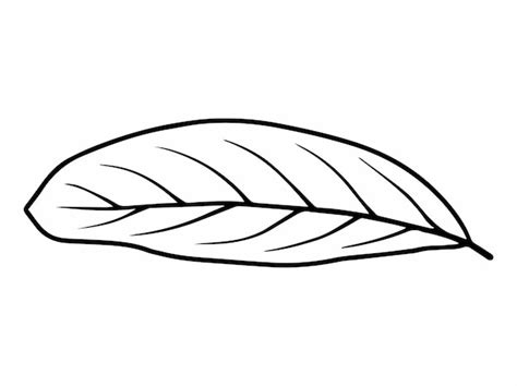 Premium Vector Leaves Line Art Illustration