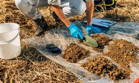 Ce Tip De Pământ Ai în Grădină Metoda Testării în Borcan