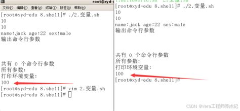 嵌入式全栈开发学习笔记 Shell脚本嵌入式系统中shell脚本位置变量的实际应用 Csdn博客