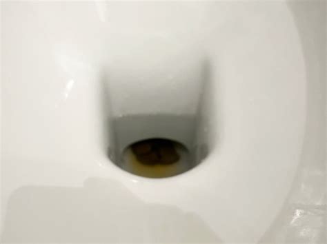 Lucky Find Image Thisvid Tube