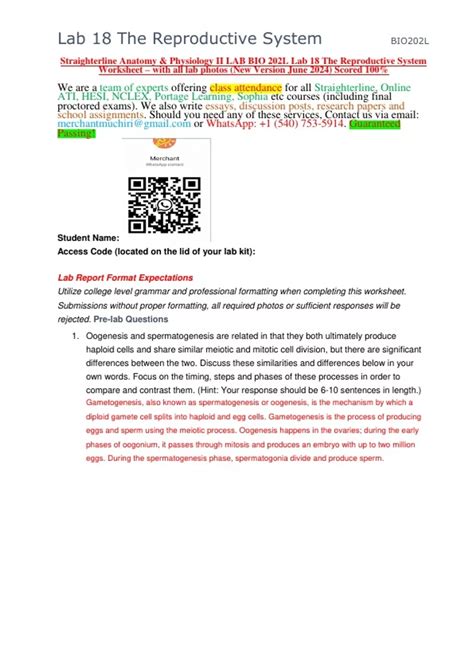 Lab The Reproductive System BIO L Straighterline Anatomy