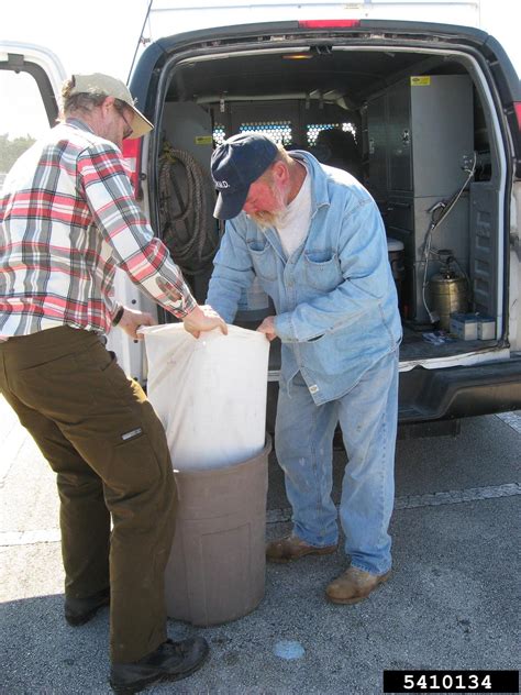 Pythons Genus Python