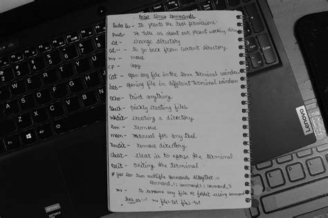 Essential Linux Commands Every Beginner Must Know After Setting Up Your