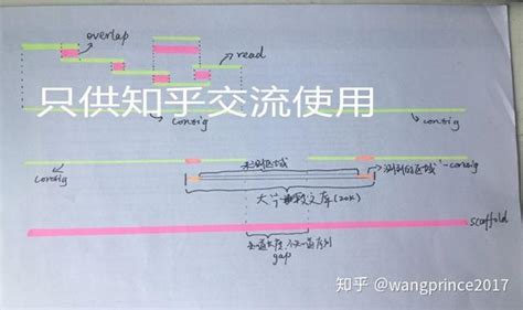 基因家族 Scaffold Contig Motif 知乎