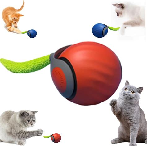 Speedy Tail 2 0 Speedy Tail Cat Toy 2025 New Generation Interactive Cat Toy Speedy Tail 2 0