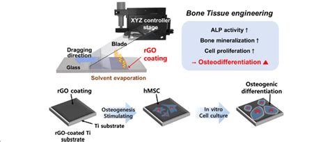 Schematic Diagram Of Meniscus Dragging Deposition Technique And The Download Scientific Diagram