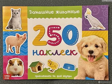 Детские Книги Буква Ленд Книжка с наклейками домашние животные «Классный и недорогой альбом с