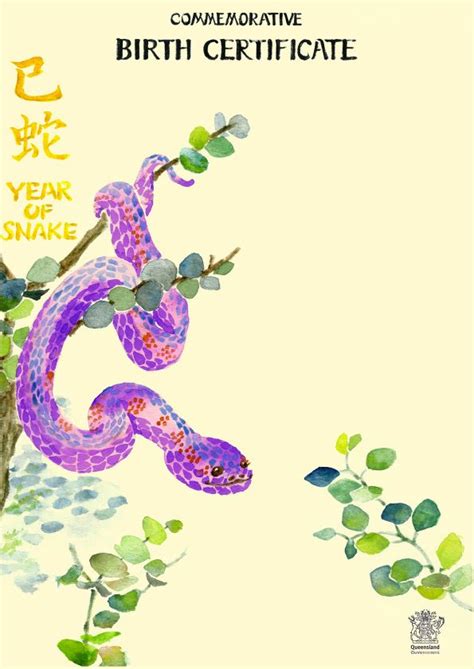 Birth Certificate Your Rights Crime And The Law Queensland Government