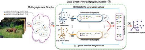 A Conceptual View Of Cross Graph View Subgraph Feature Based Learning