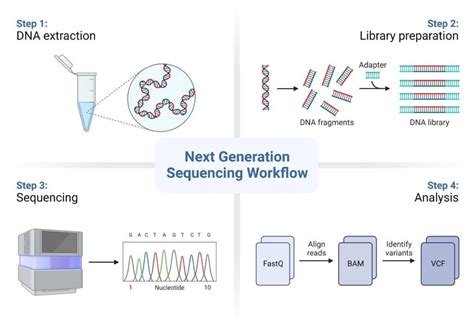 𝑀𝑜𝒽𝒶𝓂𝓂𝒶𝒹 𝒦𝒽𝒶𝓏𝑒𝓃𝒾 On Linkedin Nextgenerationsequencing Ngs Sequence 𝑀𝑜𝒽𝒶𝓂𝓂𝒶𝒹 𝒦𝒽𝒶𝓏𝑒𝓃𝒾 On Linkedin Nextgenerationsequencing Ngs Sequence