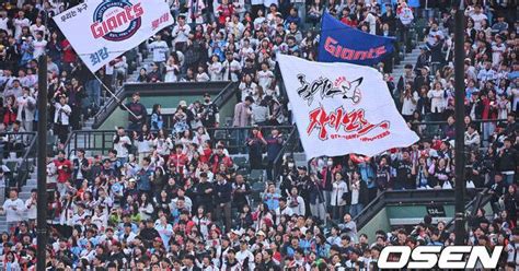 사진 롯데 응원하는 팬들