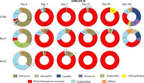Main Genera Dynamics Of Fungal Communities Of Rehydrated Sorghum