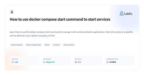 How To Use Docker Compose Start Command To Start Services Labex