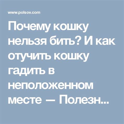 Почему кошку нельзя бить? И как отучить кошку гадить в неположенном ...