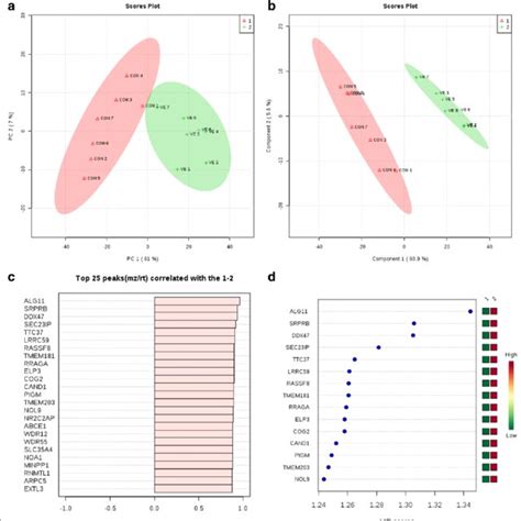 David Functional Annotation Clustering Of Sam Genes In Ve Vs Con