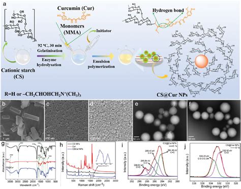 Preparation And Characterization Of Cationic Starch Cs Modified Download Scientific Diagram